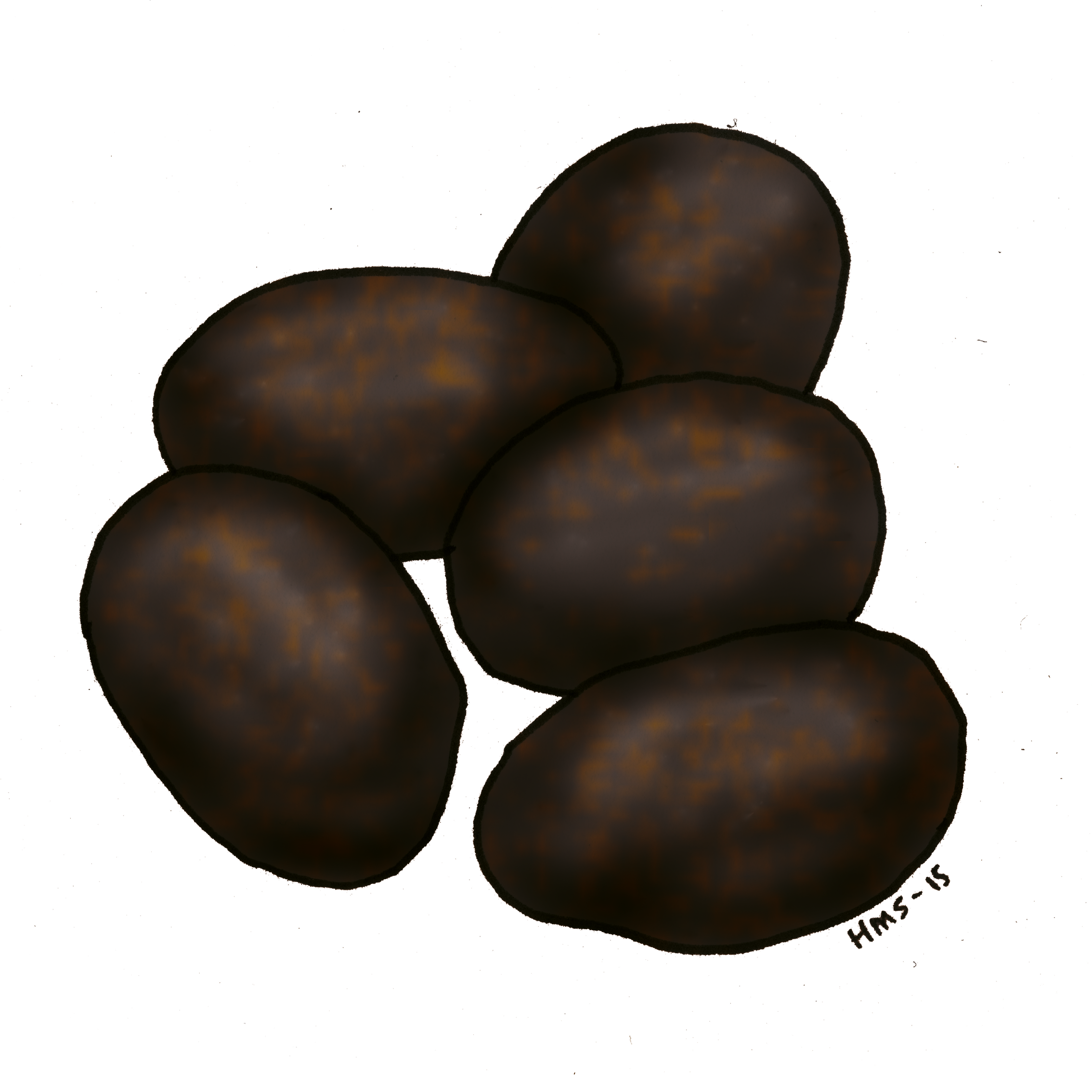 Naturkjennskap, dyrespor - KFUK-KFUM-speiderne